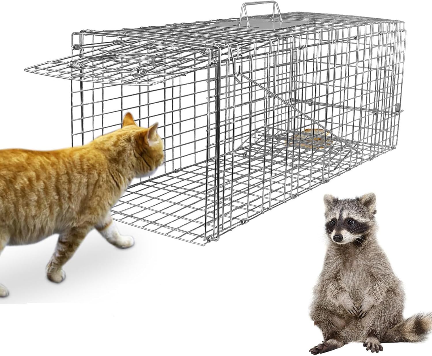 Amazon.com : KOCASO Large Live Animal Trap Cage, Foldable Heavy Duty ...