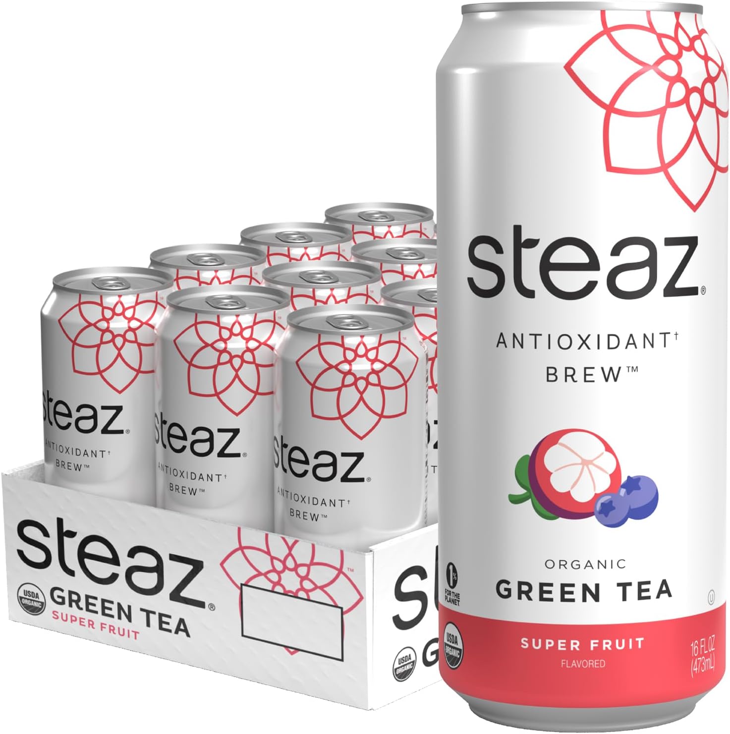 Amazon.com : Steaz Organic Iced Green Tea, Mint, 16 oz : Bottled Iced ...