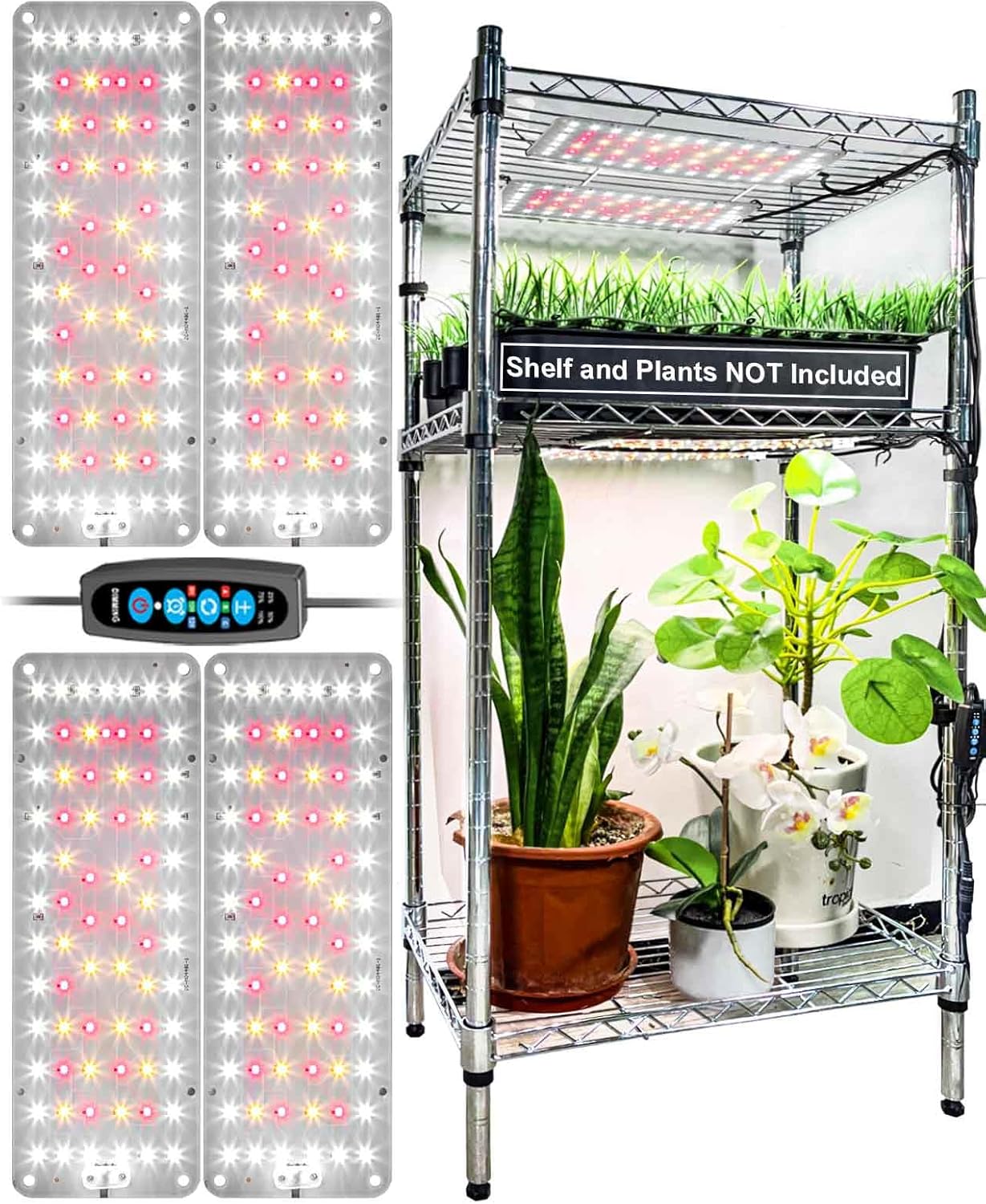Amazon.com : DOMMIA Grow Light, Full Spectrum 50W(500W Equiv) LED Grow ...