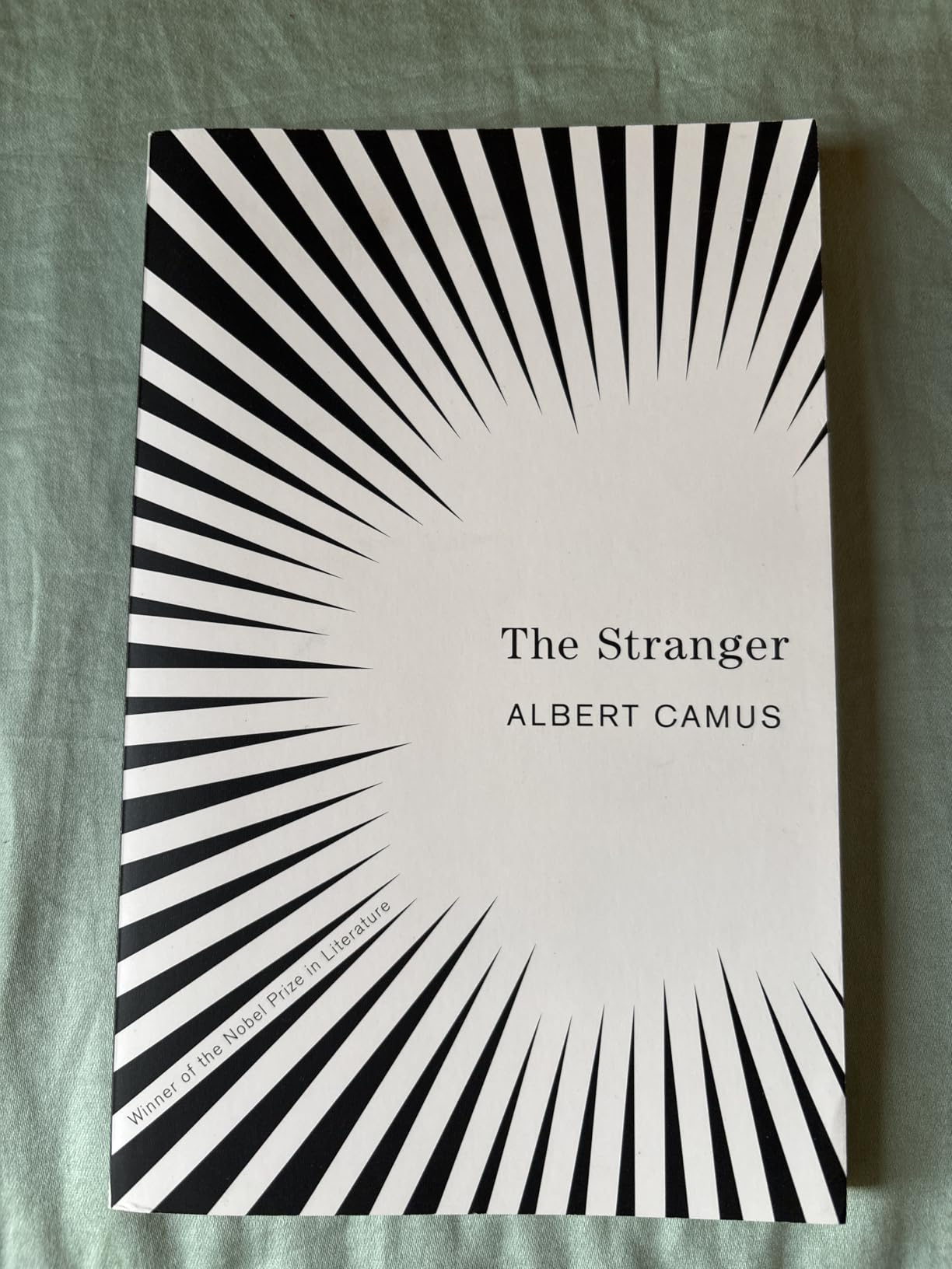 Buy The Stranger Book Online at Low Prices in India | The Stranger ...