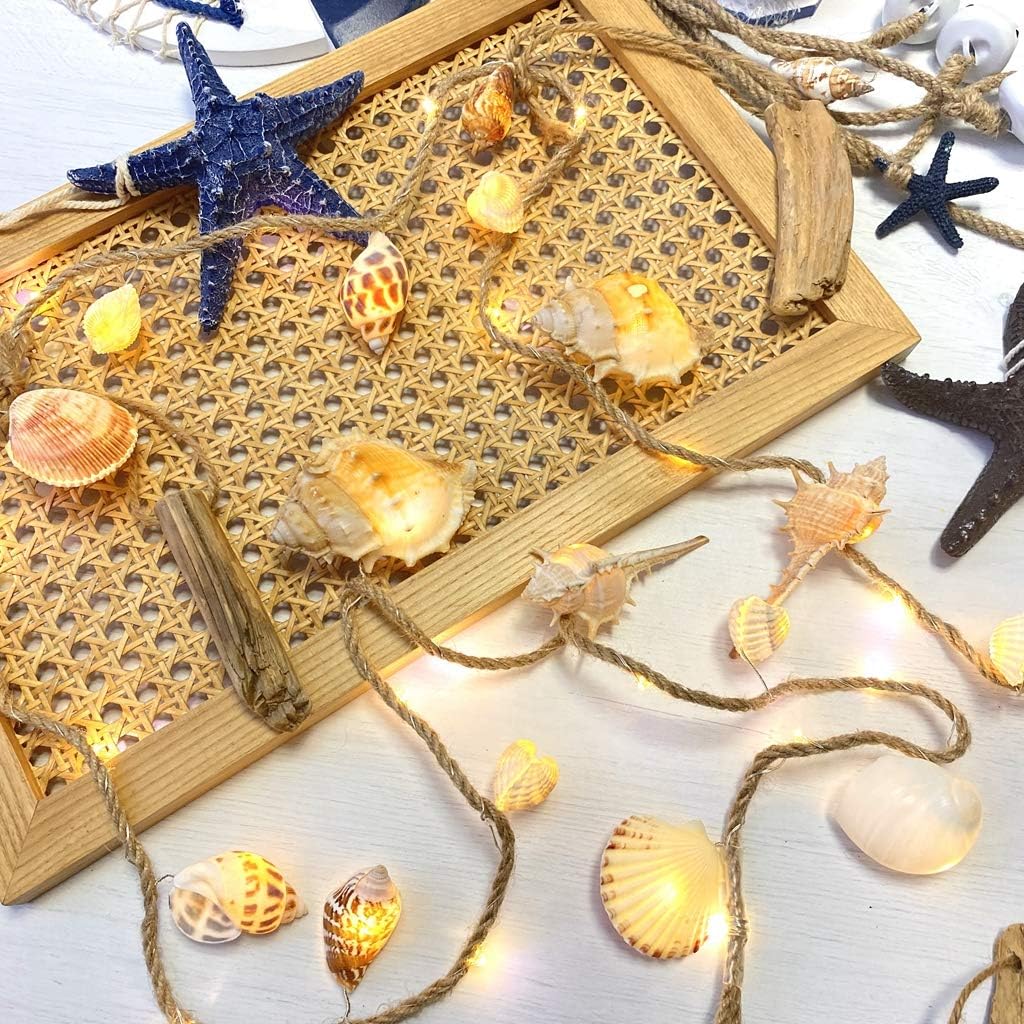 Amazon.com: Beached Themed Sea Shell Decorative Conch Hemp Rope Lights ...