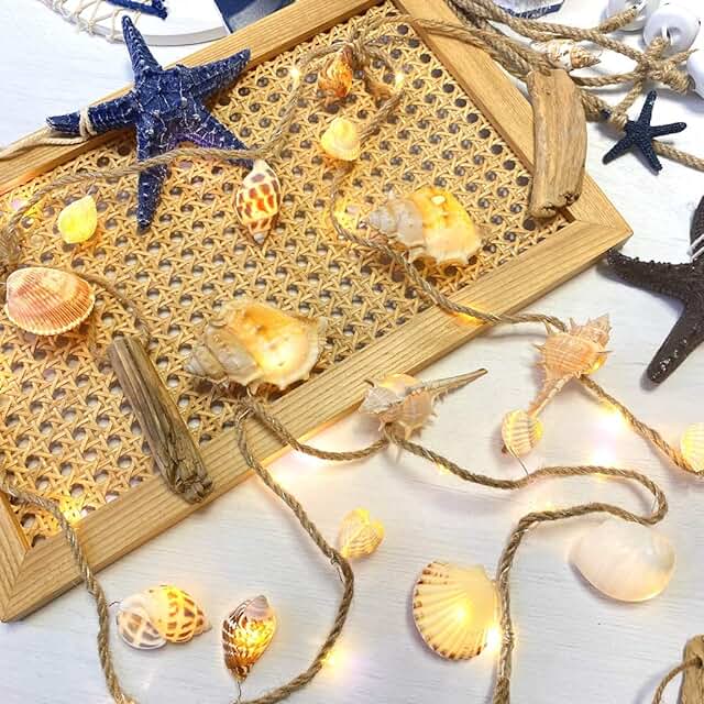 Amazon.com: seashell lights