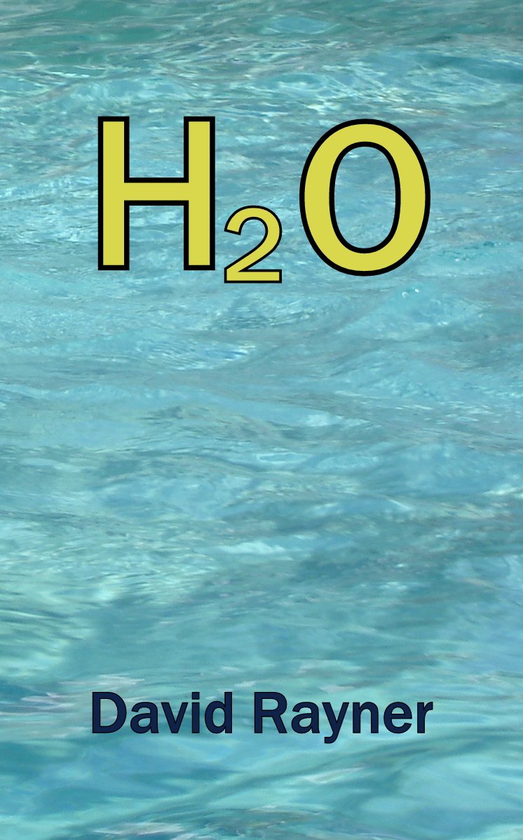 H2O eBook : Rayner, David: Amazon.co.uk: Kindle Store