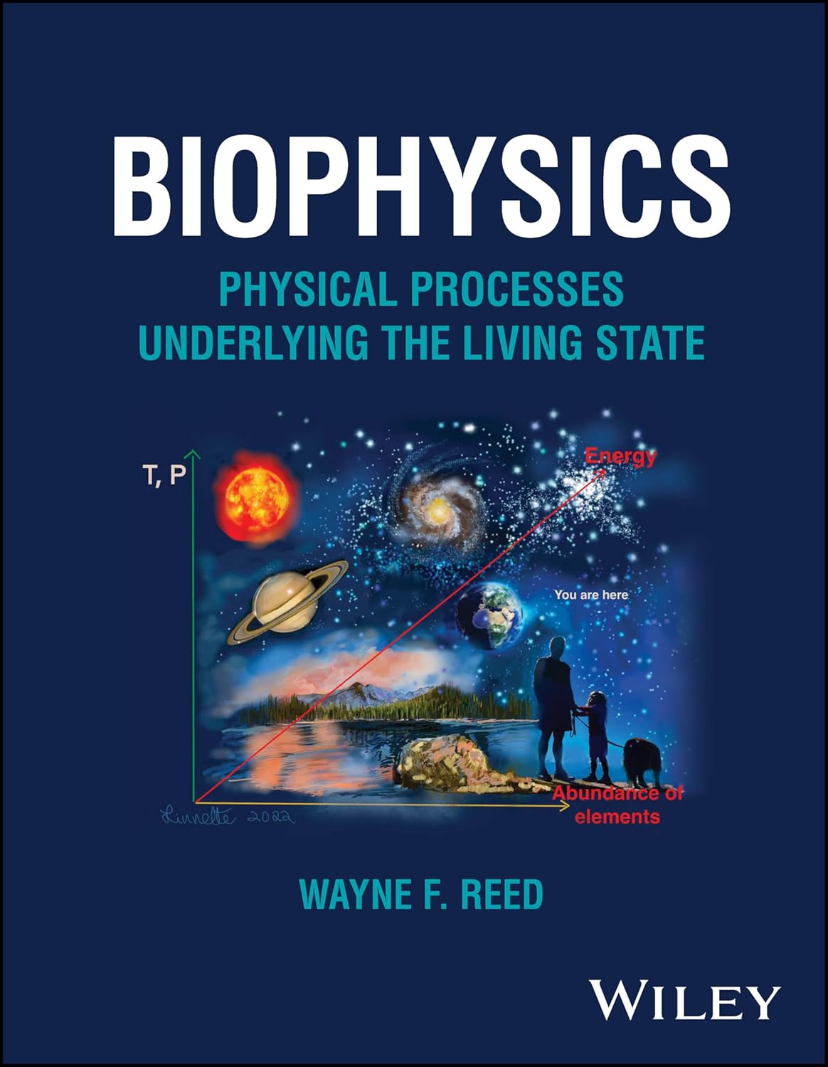 Biophysics: Physical Processes Underlying the Living State: Reed, Wayne ...