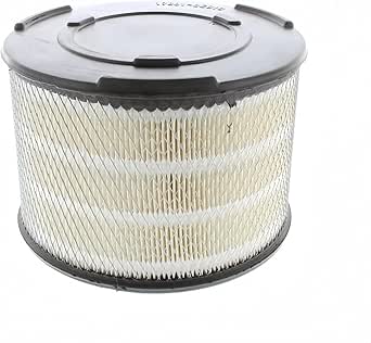 Amazon.com: Fuel filter 8981596930 Air filter 178010C010 Kit Compatible ...