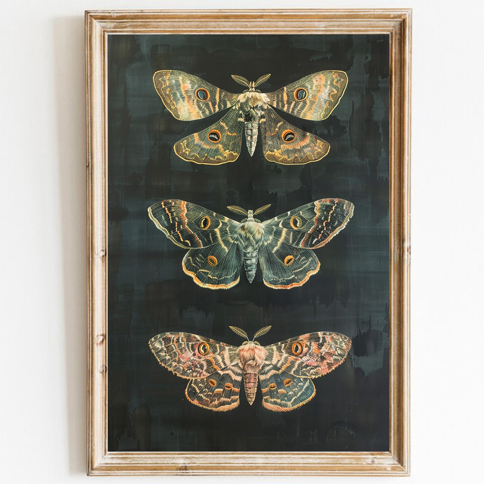 Amazon.com: Dark Moth Canvas Wall Art Dark Academia Painting Retro ...