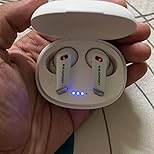 Blaupunkt Newly Launched BTW300 BASS Buds Truly Wireless Bluetooth in ...