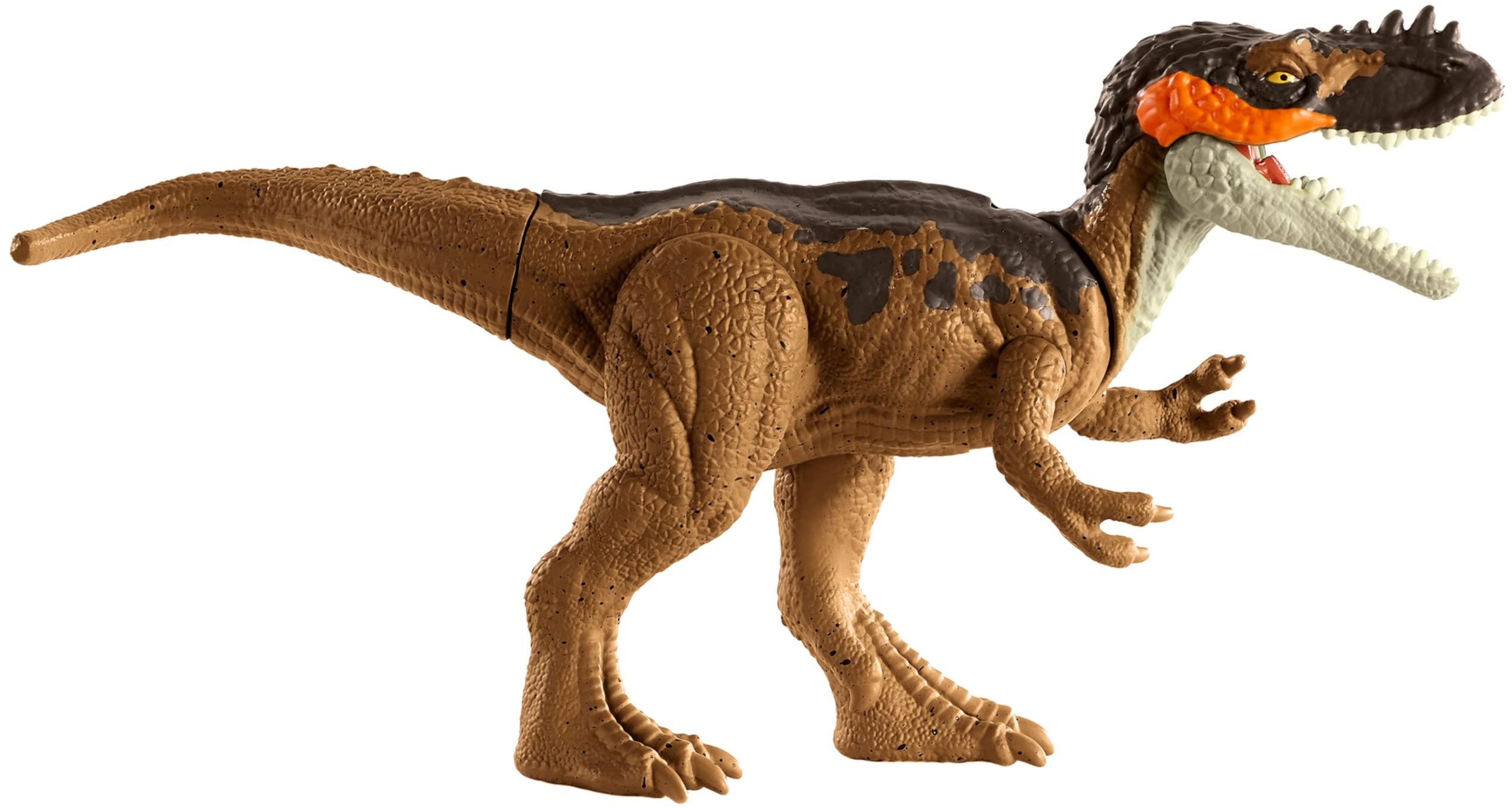 Buy Jurassic World Wild Pack Alioramus Carnivore Dinosaur Action Figure ...