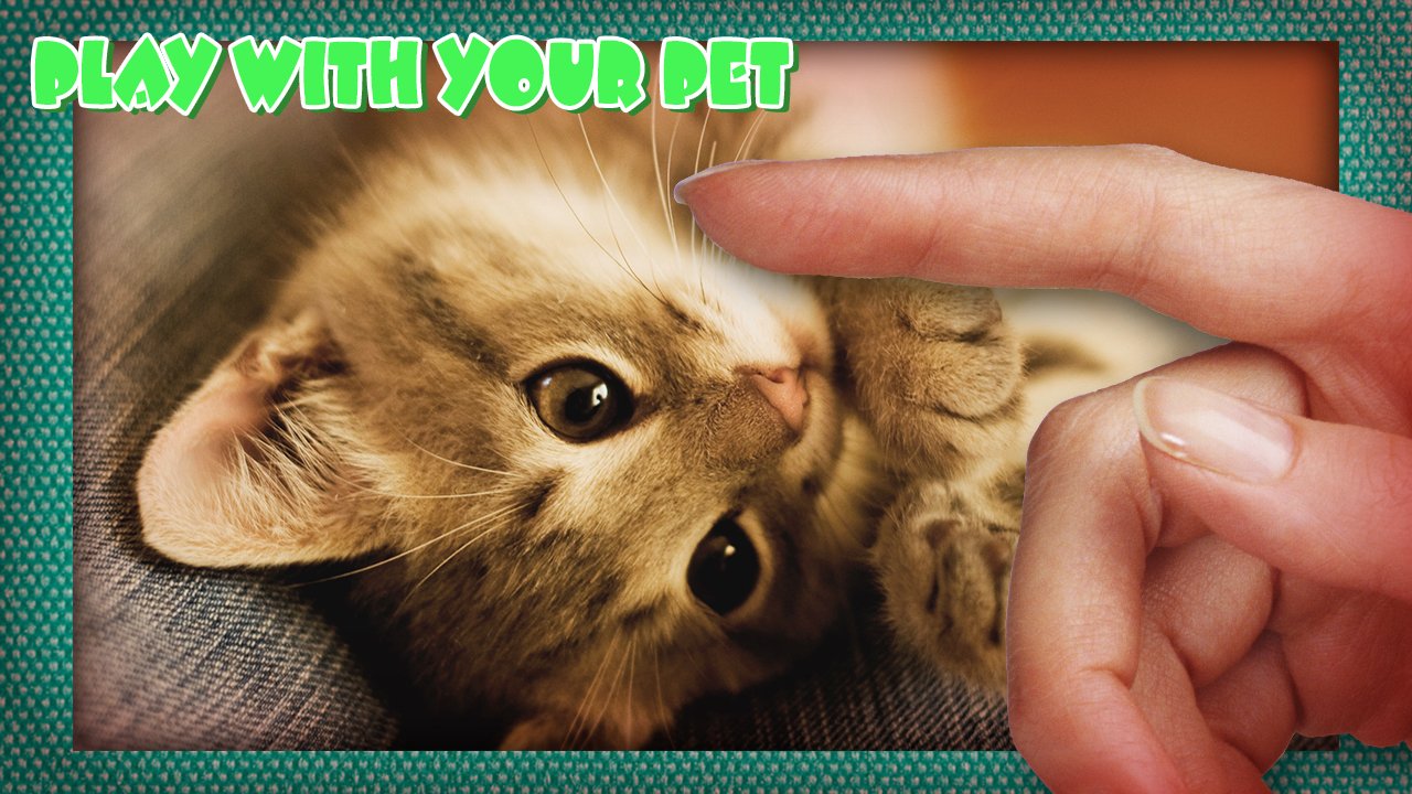 Pat The Relax Cat Simulator - App on the Amazon Appstore