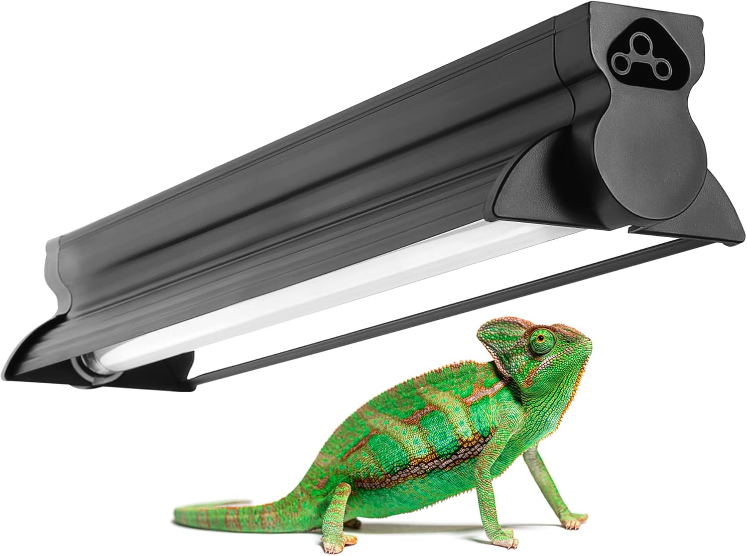 Amazon.com: Eckpo 8W Reptile T5 HO UVB Light Hood, Reptile Lamp Hood ...