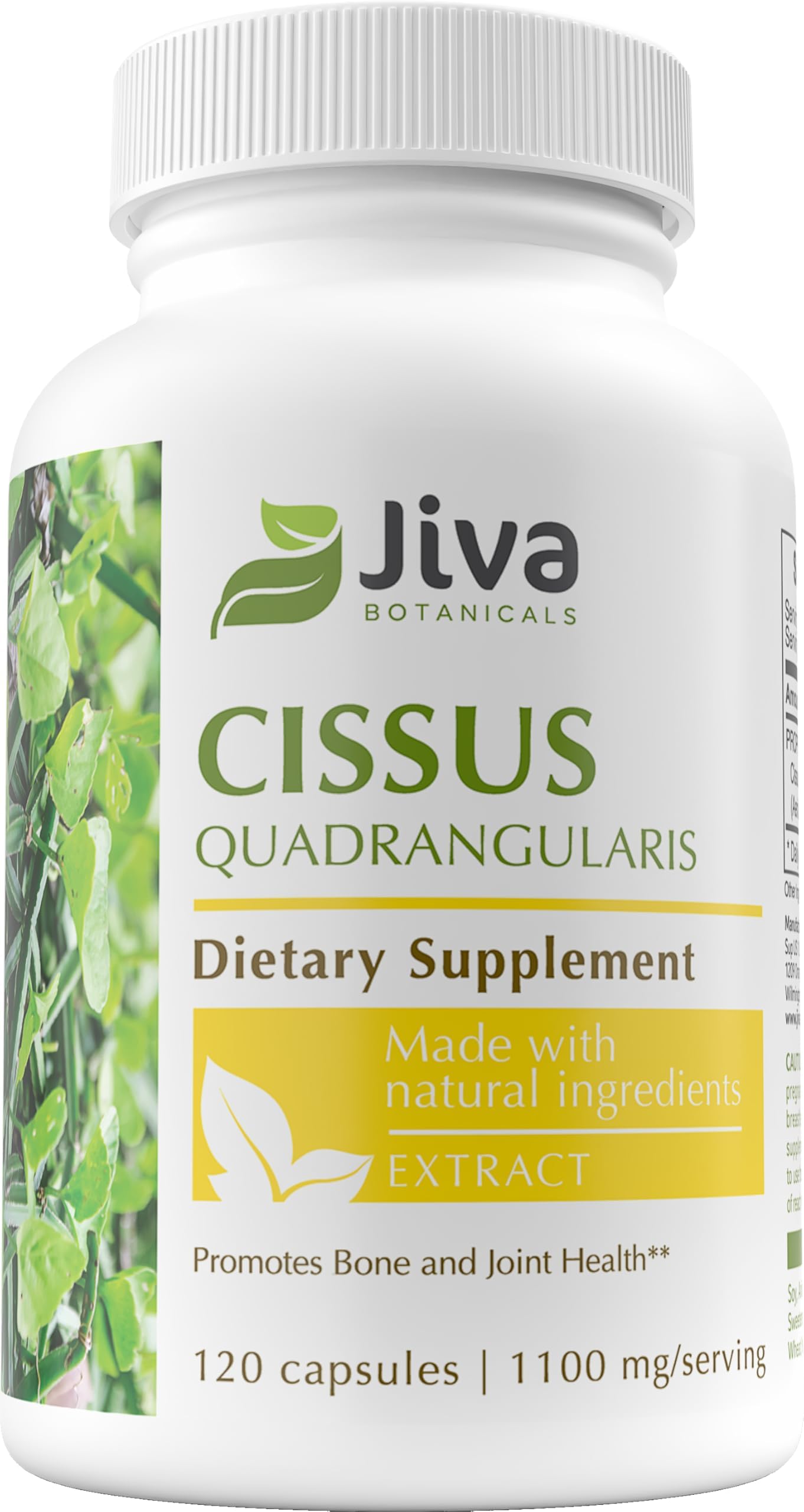 Amazon.com: Piping Rock Cissus Quadrangularis Supplement 1800mg | 200 ...