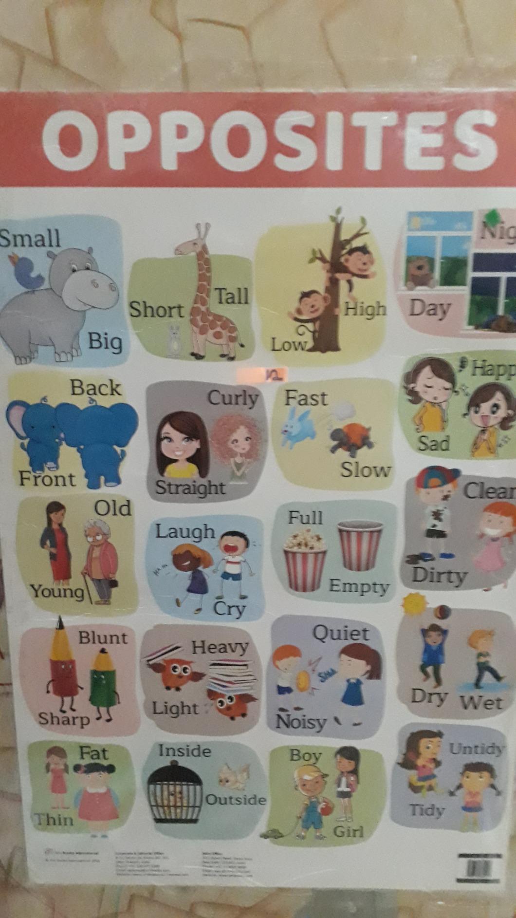 Opposites Charts