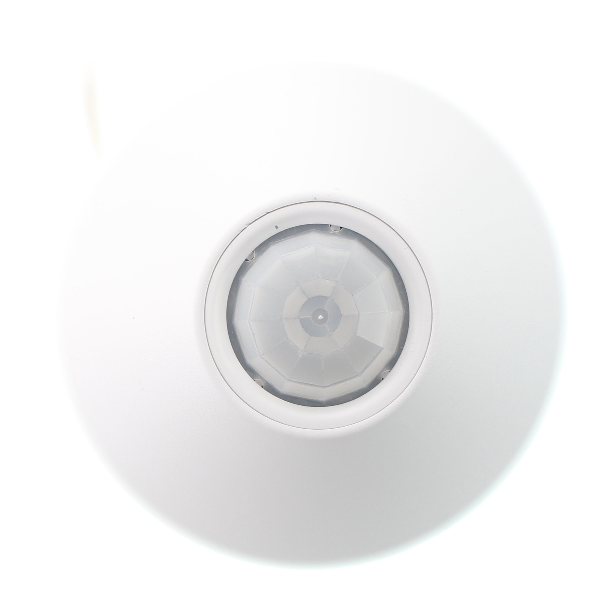 Amazon.com: Sensor Switch NCM-PDT-10-RJB nLight Dual-Tech Occupancy ...