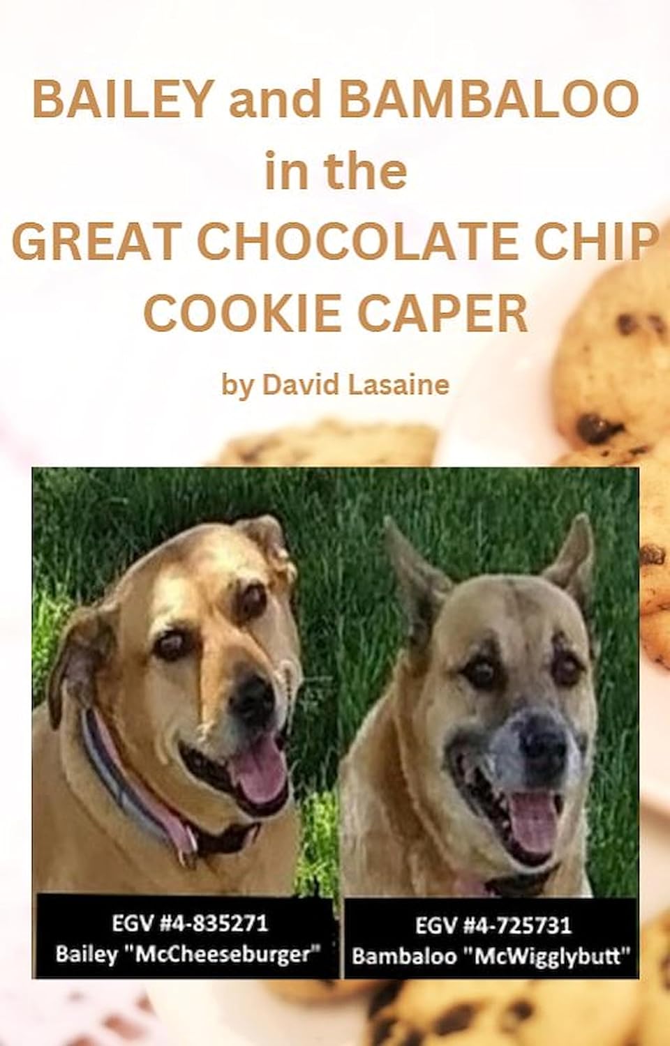 Amazon.com: Bailey and Bambaloo in The Great Chocolate Chip Cookie ...