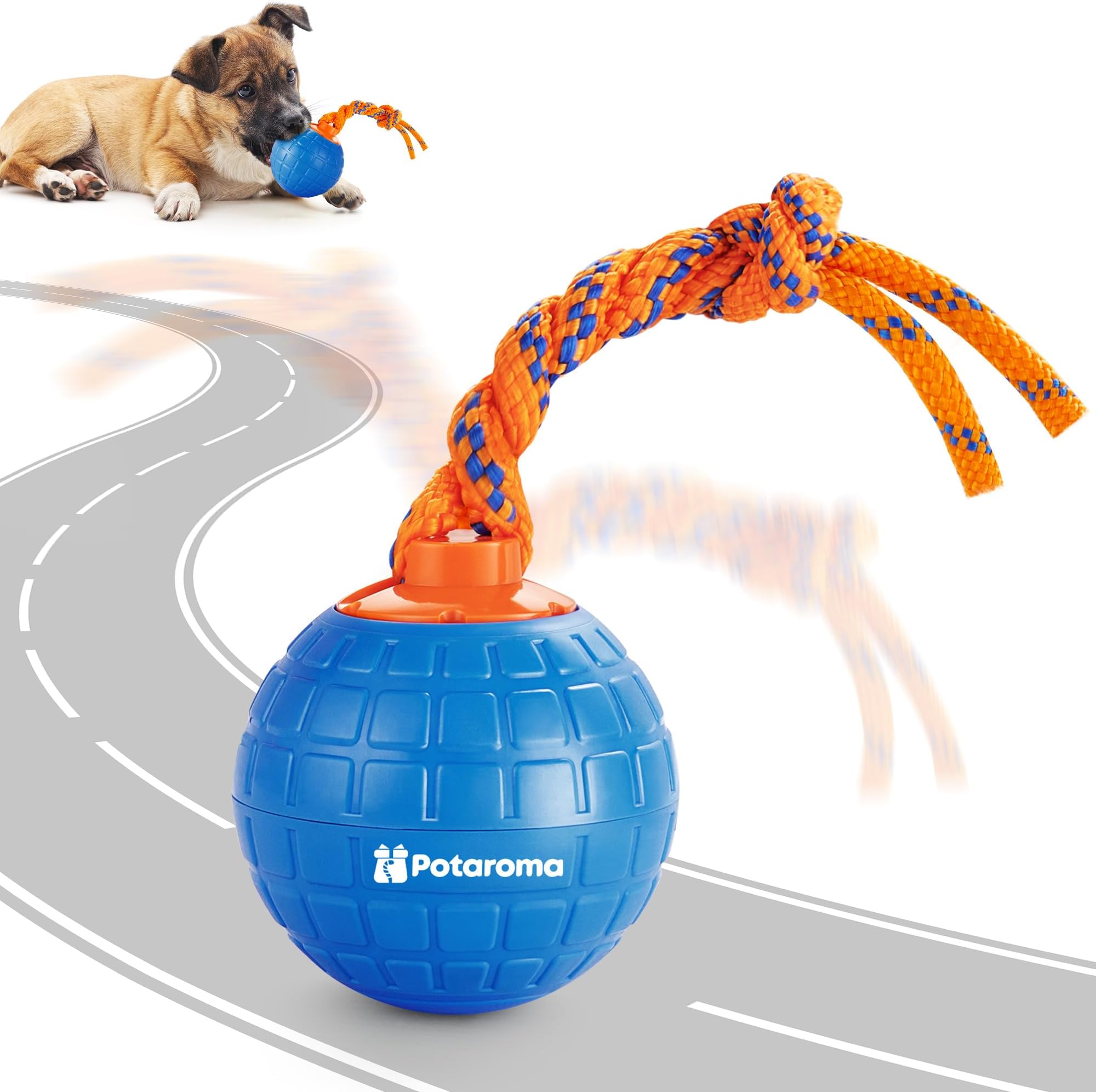 Pet Supplies : Potaroma Interactive Dog Ball Toys Touch Activated ...