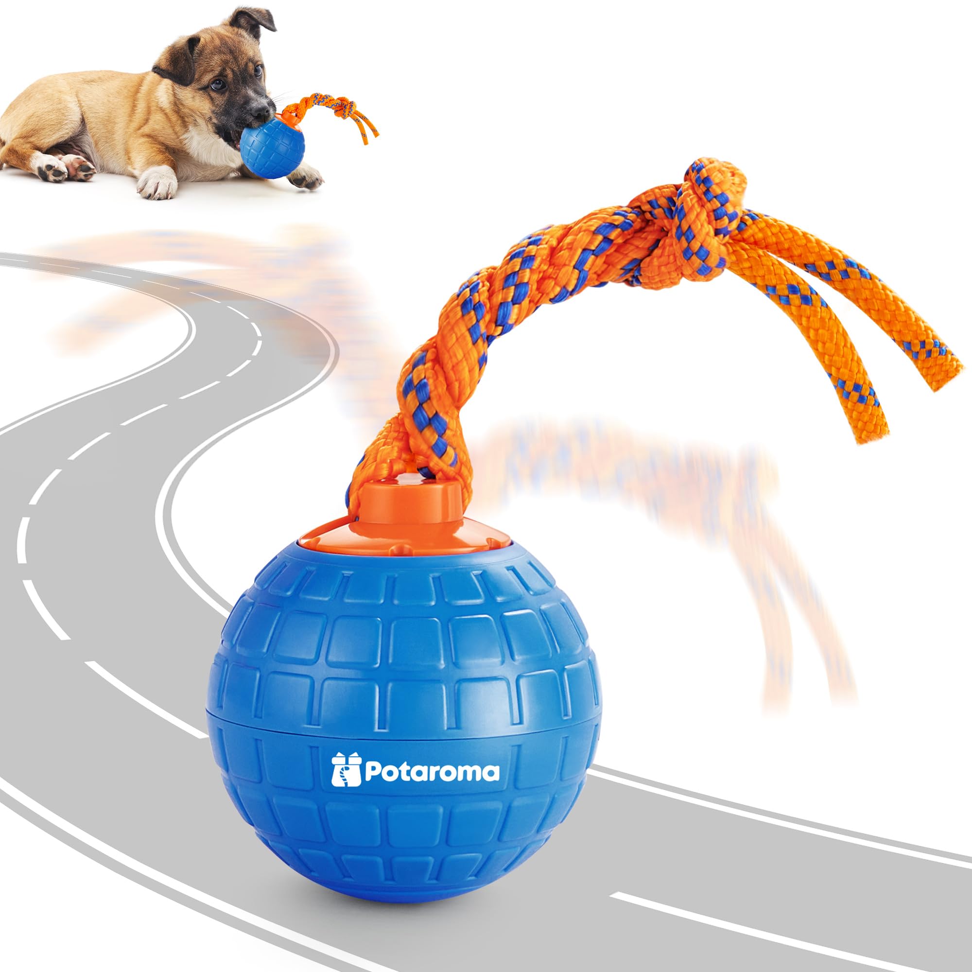 Pet Supplies : Potaroma Interactive Dog Ball Toys Touch Activated ...