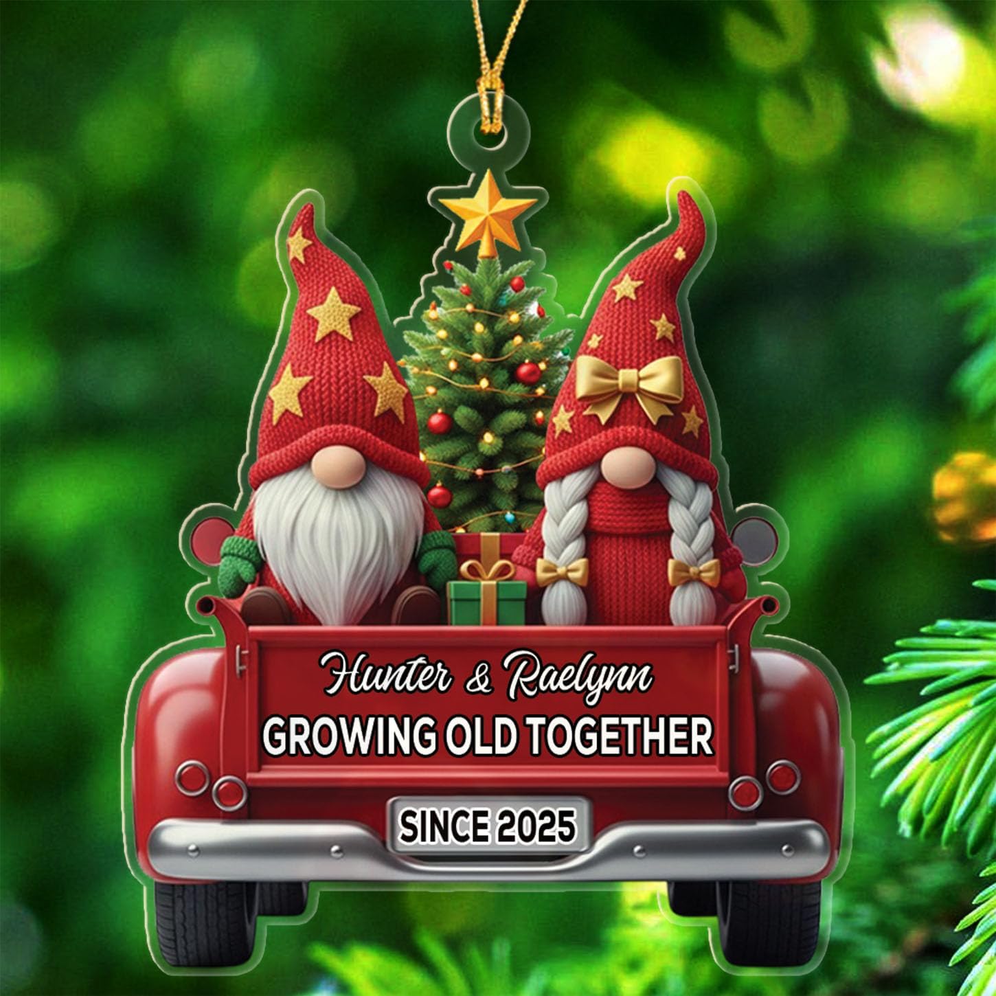 Amazon.com: Personalized Mr & Mrs Gnome Growing Old Together Since ...