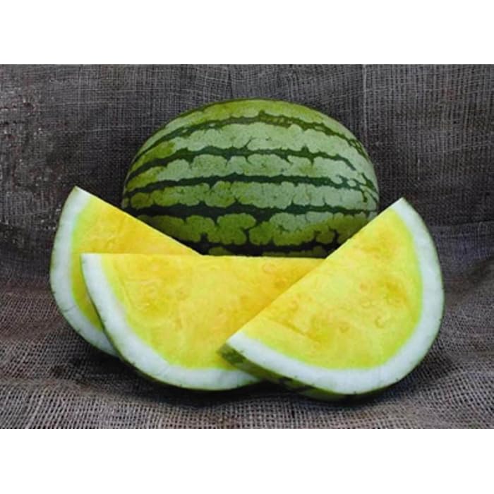 Buy Yellow Watermelon Seeds Rare Hierloom Vegetable for Planting Giant ...