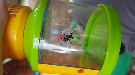 Amazon.com: OLIVIA & AIDEN Childrens Bug Catcher and Viewer - Insect ...