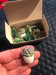 Amazon.com: U Brands Succulent Push Pins Set, Office Supplies, Three ...