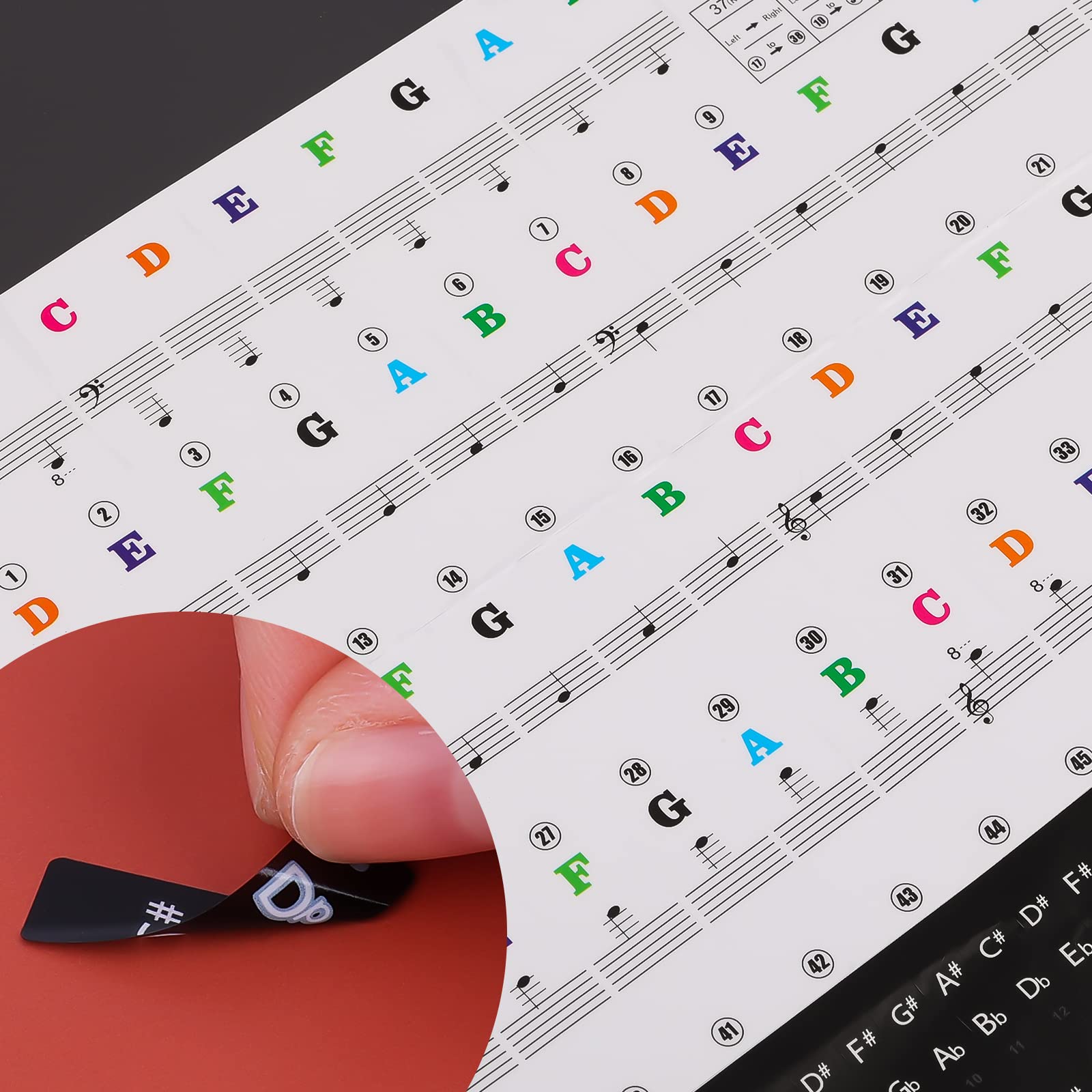 Snapklik.com : Piano Note Stickers, Piano Keyboard Stickers, Colorful ...