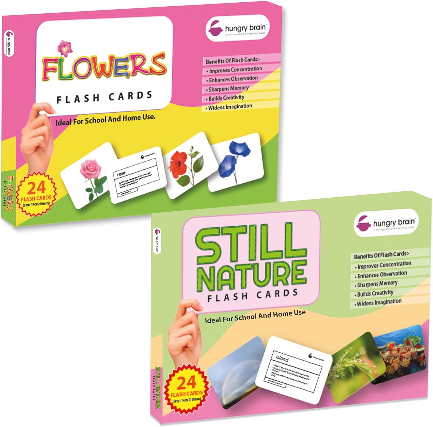 Amazon.com: hungry brain Flowers & Still Nature Flash Cards for ...