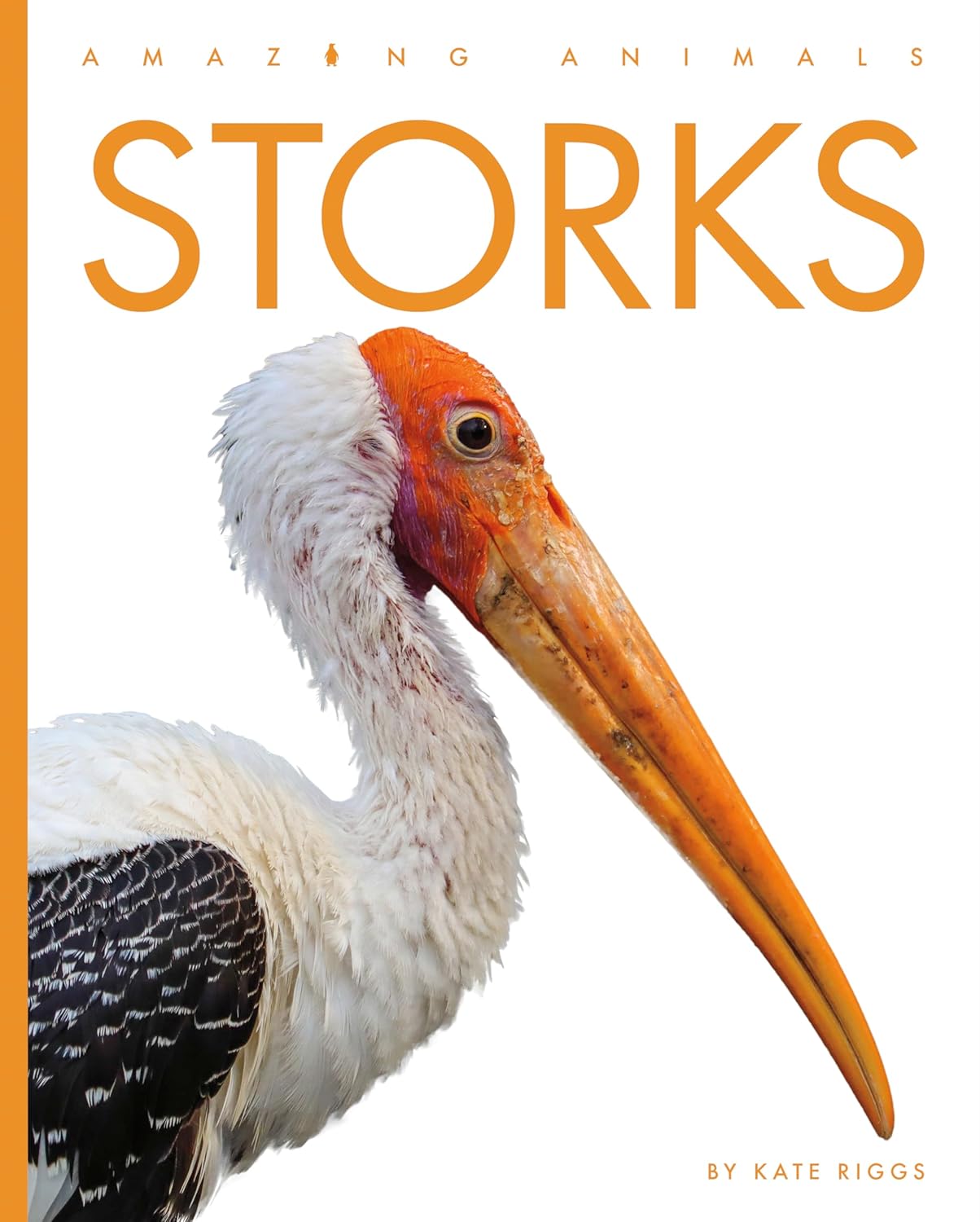 Storks: Kate Riggs: 9781640265806: Amazon.com: Books