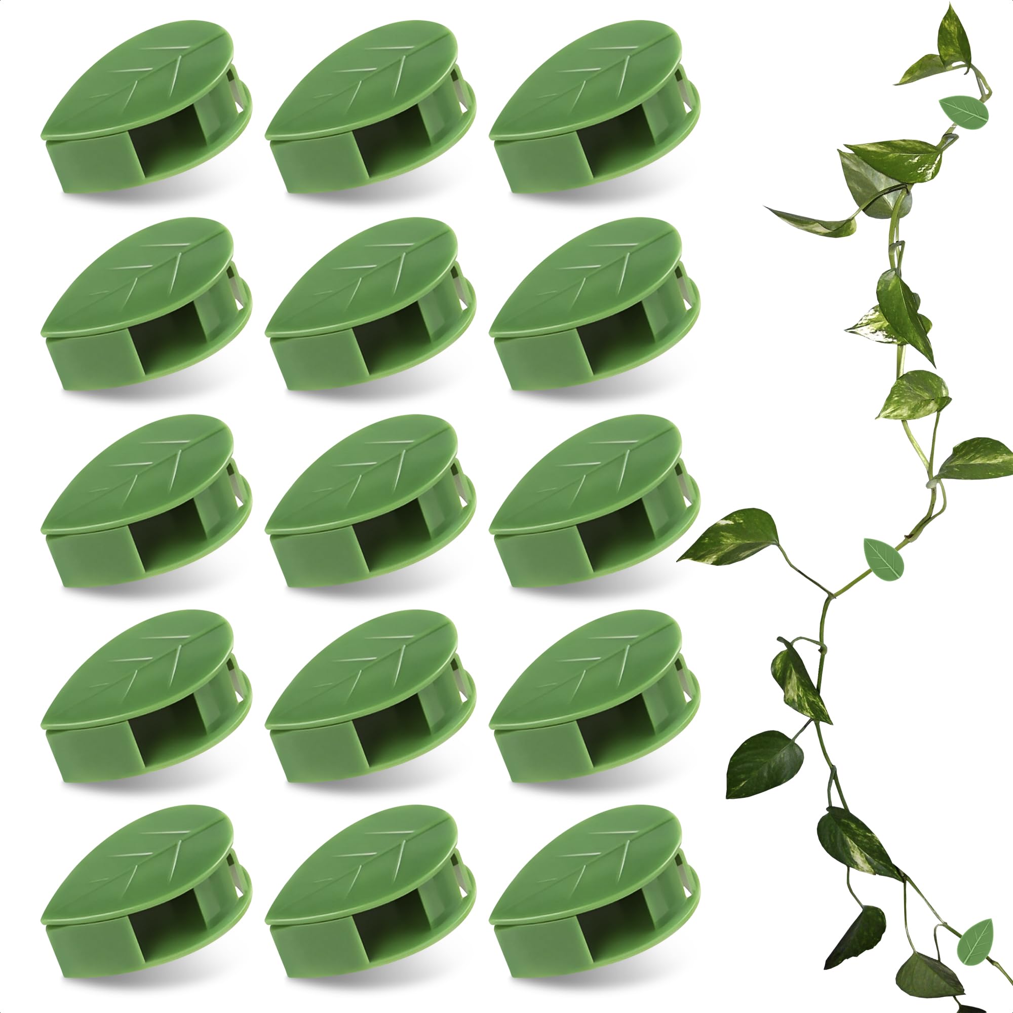 Amazon.com : Plant Clips for Climbing Plants - 60 Pcs with 72 Pieces ...