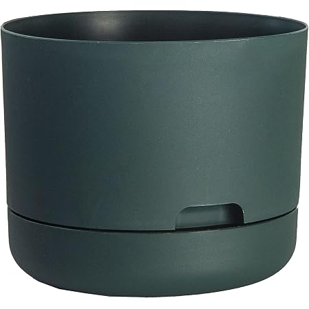 Amazon.com : Large 10" Self-Watering + Aerating + High Drainage Unique ...