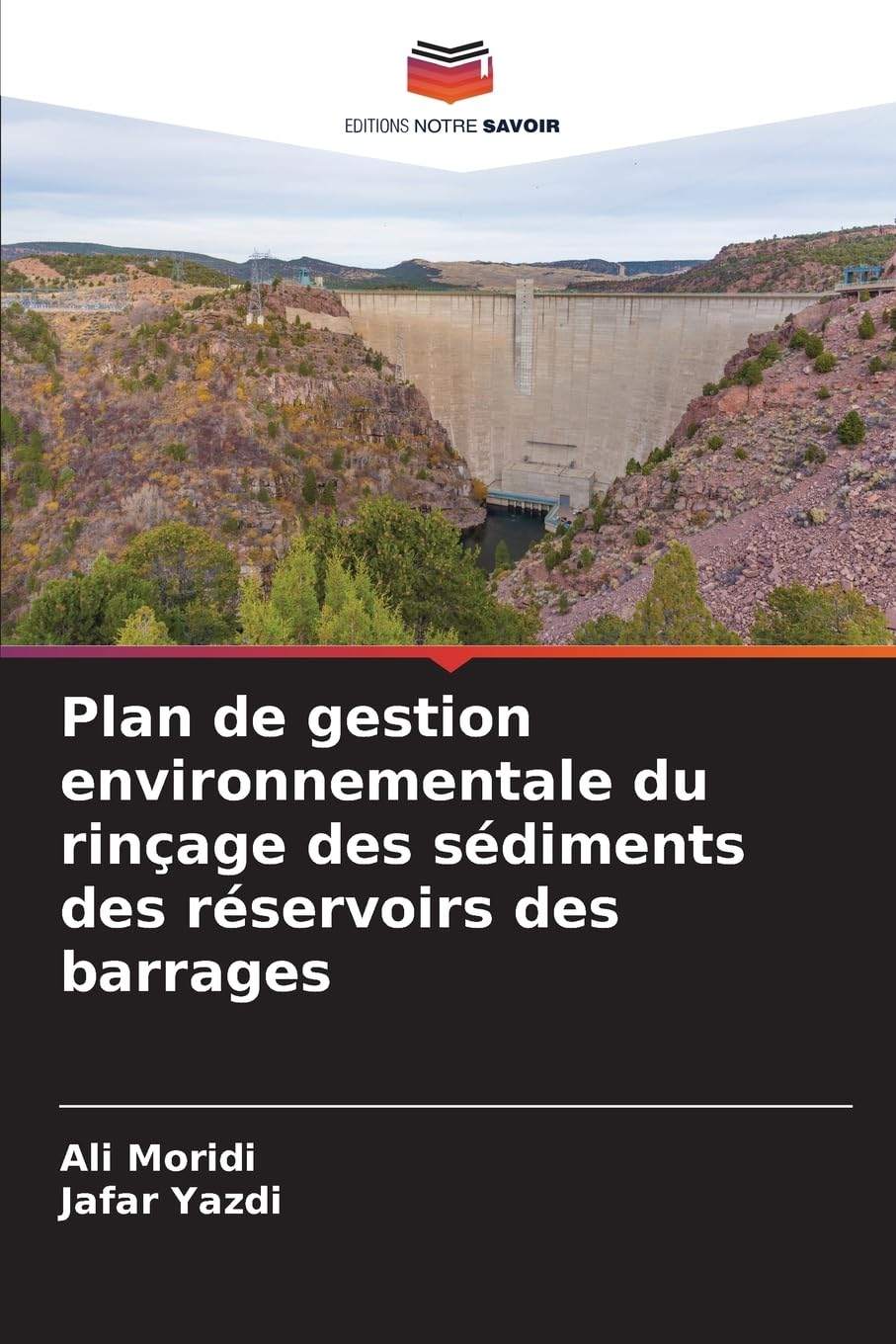 Plan de gestion environnementale du rinage des sdiments des rservoirs ...