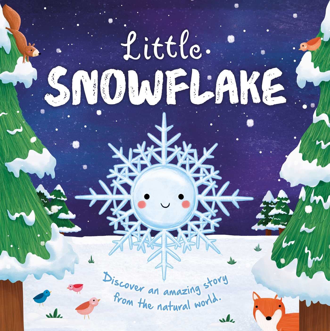 Amazon.com: Nature Stories: Little Snowflake: Discover an Amazing Story ...