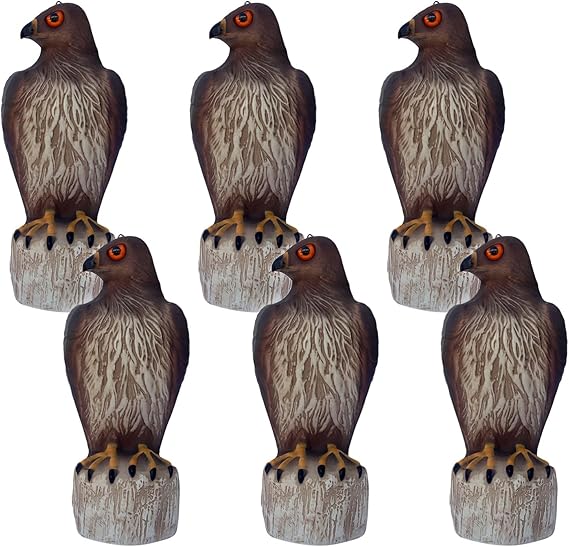 Amazon.com : Bird B Gone Plastic Hawk Decoy (6 Pack) - Hawk Decoy to ...
