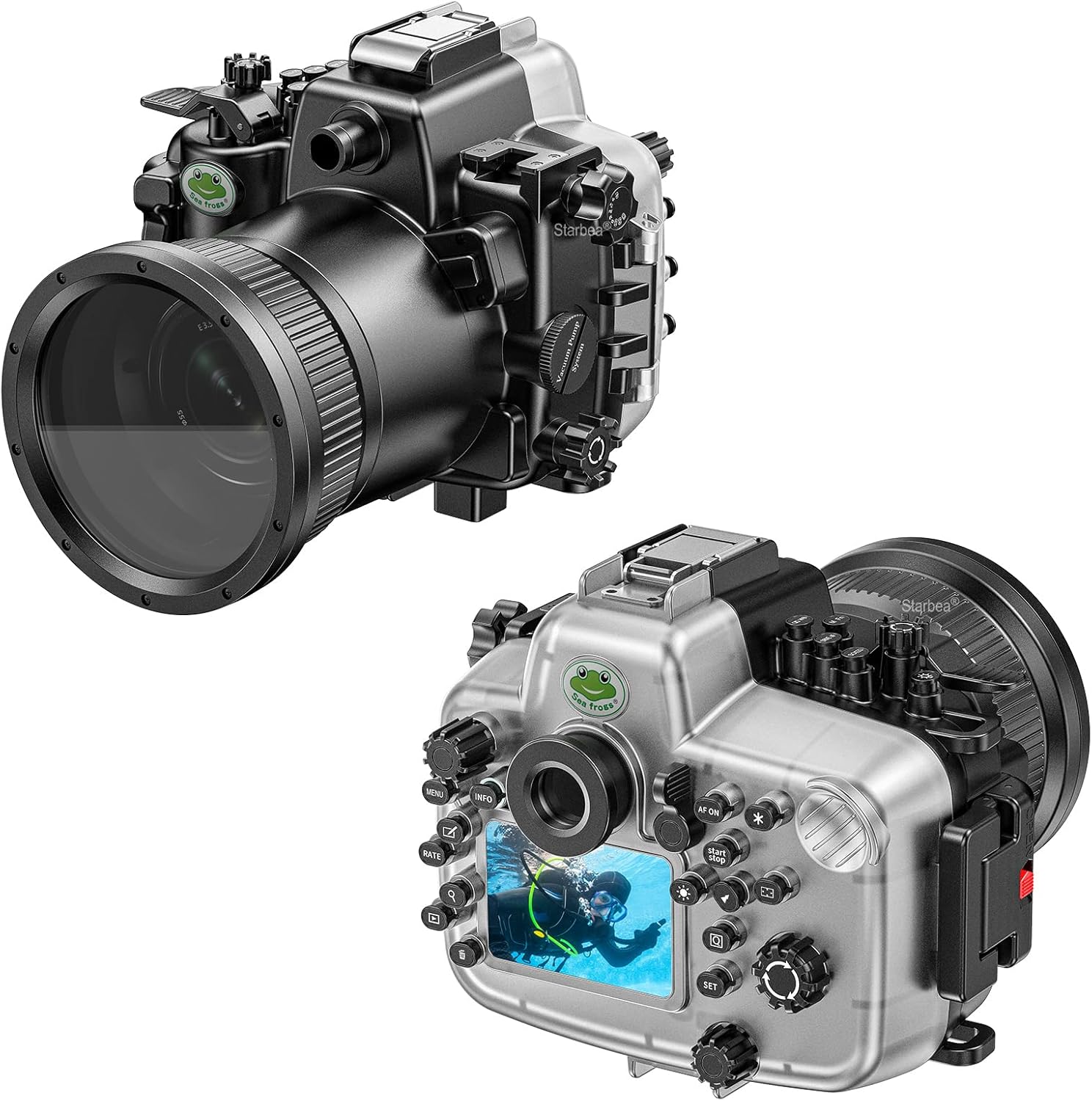 Amazon.com : Seafrogs 40M/130FT Underwater Housing for Canon EOS 5D ...