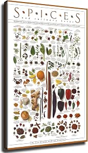 Amazon.com: Spices and Culinary Herbs Infographic Poster Wall Art ...