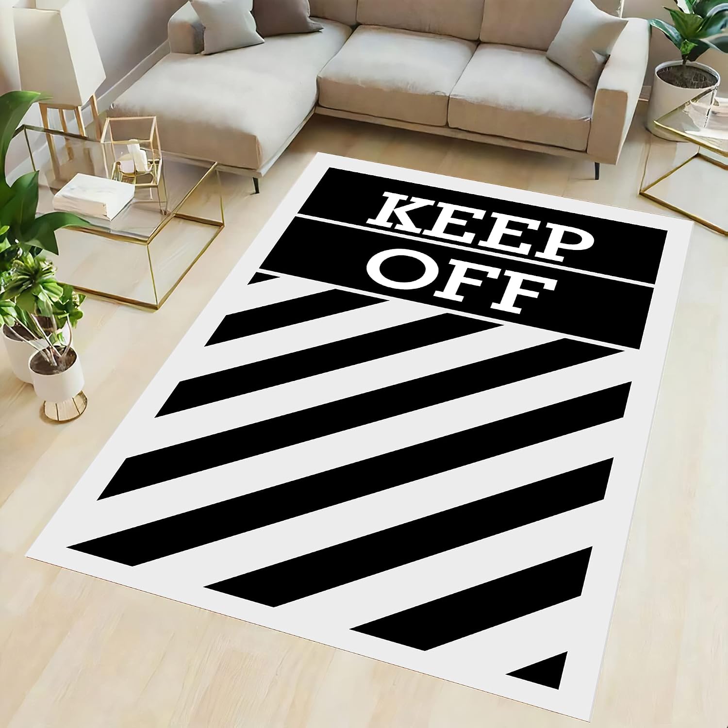 Amazon.com: Keep Off New Season Grey Soft Rug, Area Rugs for Living ...