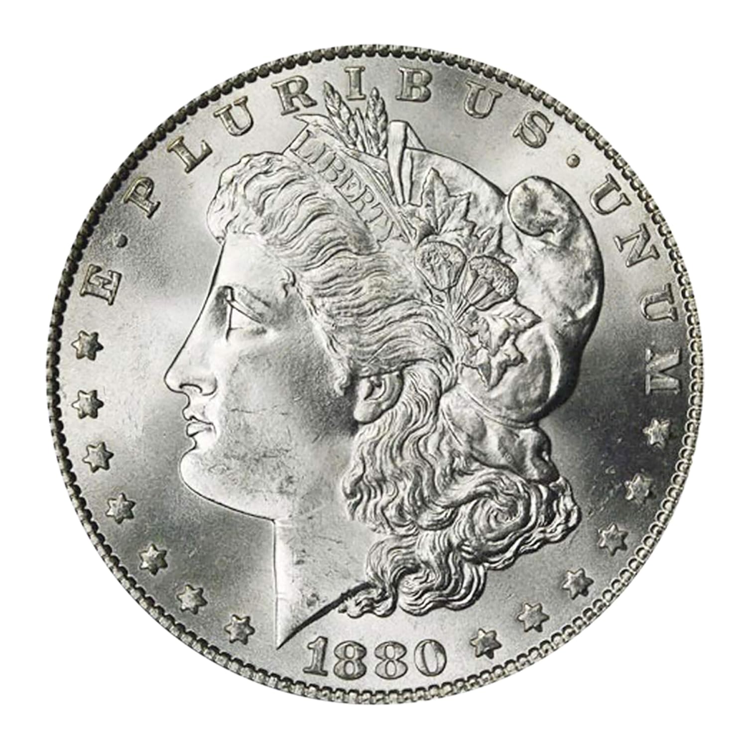 United States Mint 1880 CC Morgan Dollar - $1 with Liberty on Obverse ...