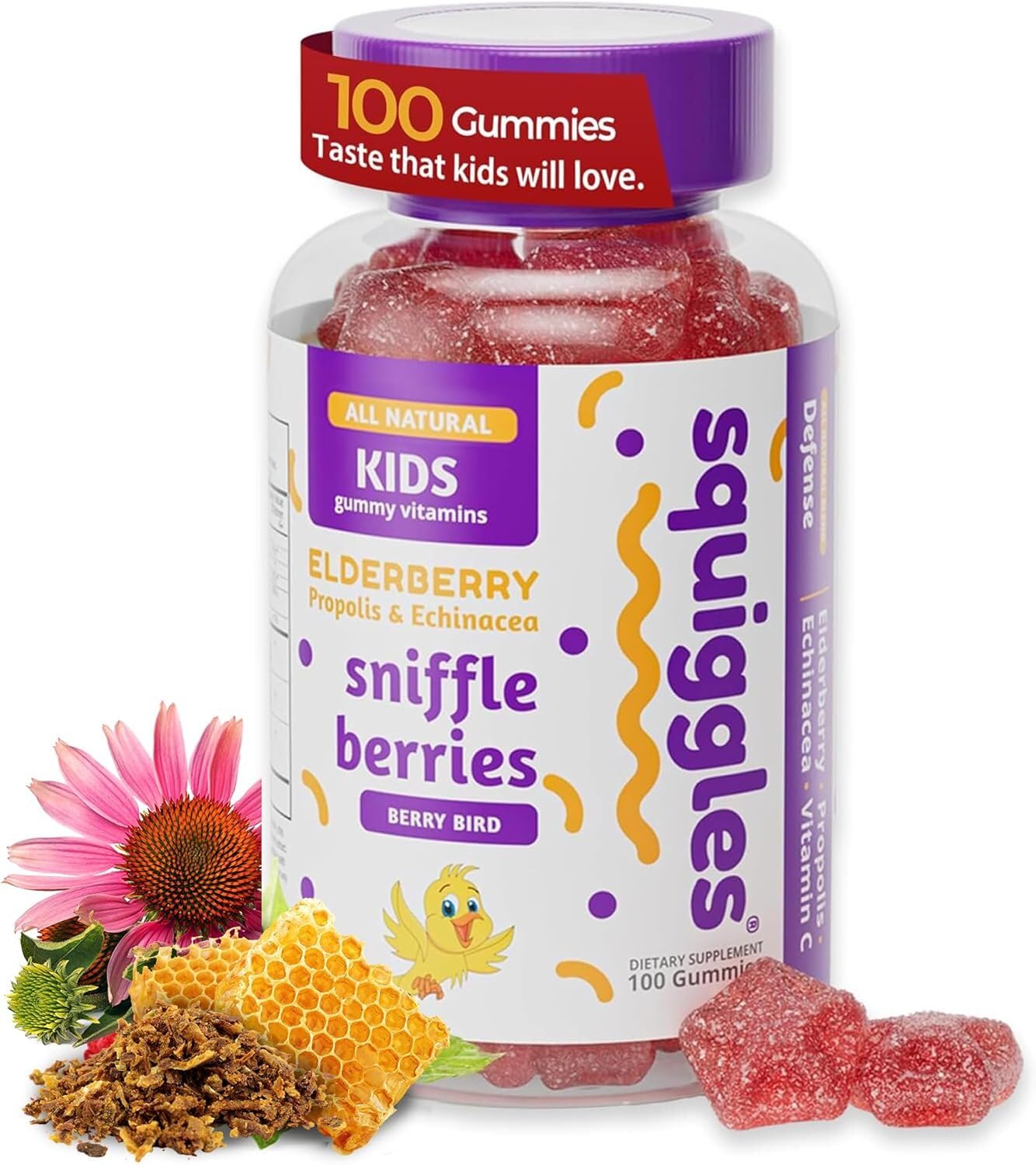 Amazon.com: Squiggles Sniffle Berries Elderberry Gummies with Bee ...