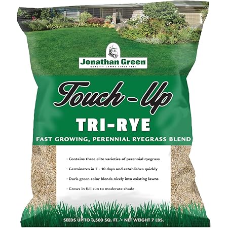 Amazon.com : Jonathan Green (12140) Touch-Up TRI-RYE Perennial Ryegrass ...