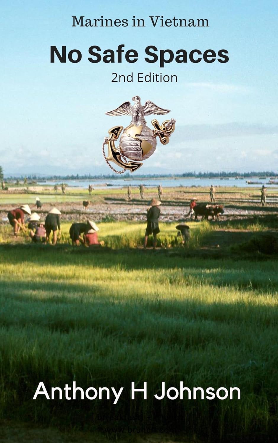 Amazon.com: No Safe Spaces: Marines in Vietnam eBook : Johnson, Anthony ...