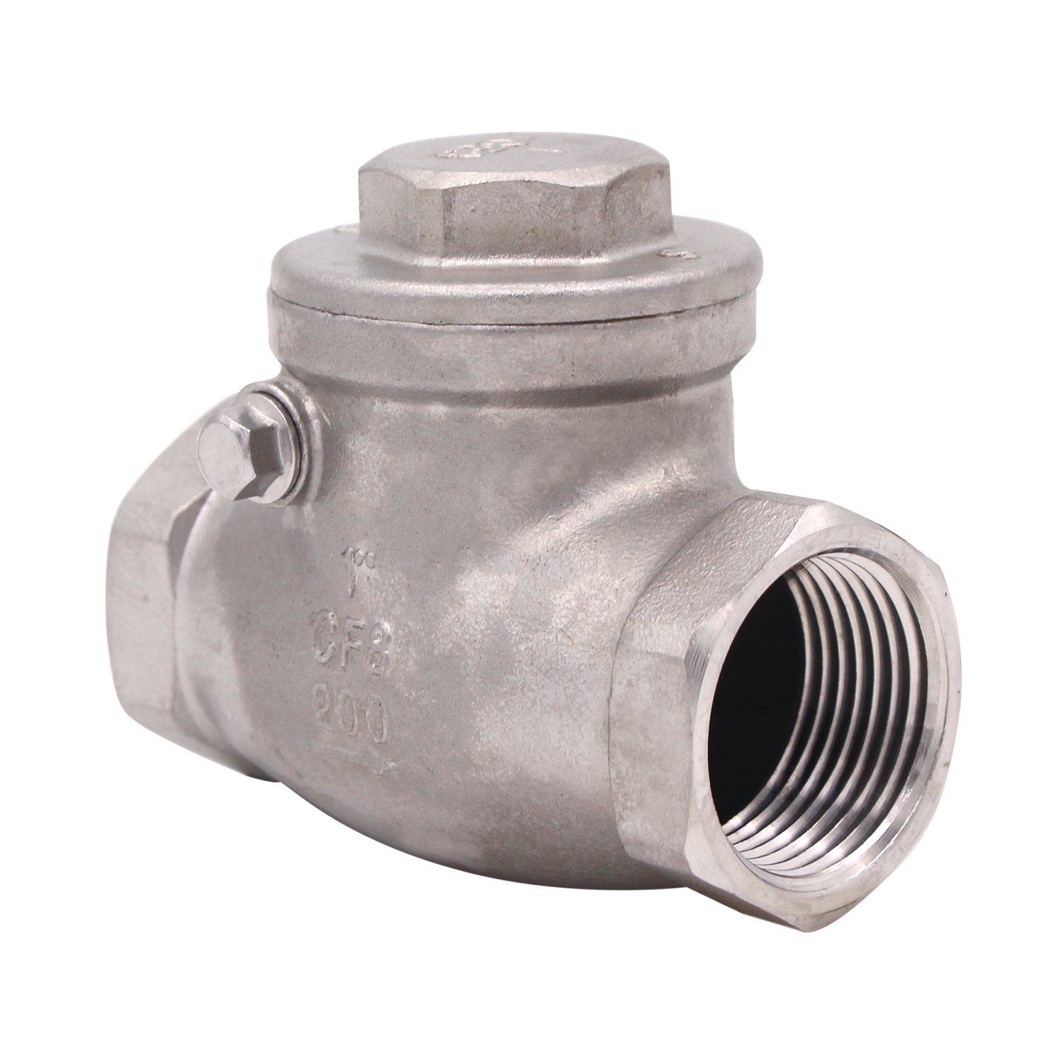 Snapklik.com : 1 Inch Swing Check Valve