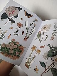 The Botanist's Sticker Anthology: With More Than 1,000 Vintage Stickers ...