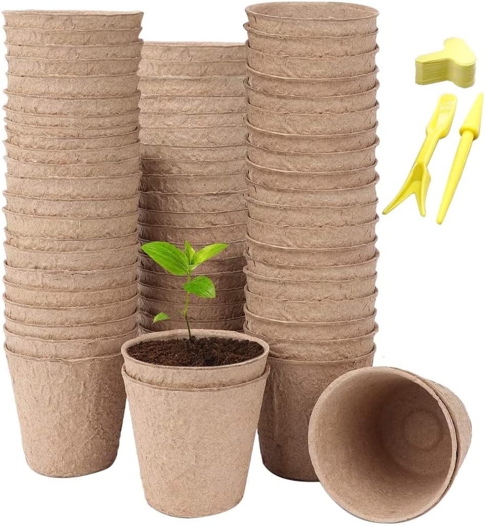 60 Pack Seed Pots 6cm,Round Wood Fibre Pots for Seedlings,Seed Trays ...