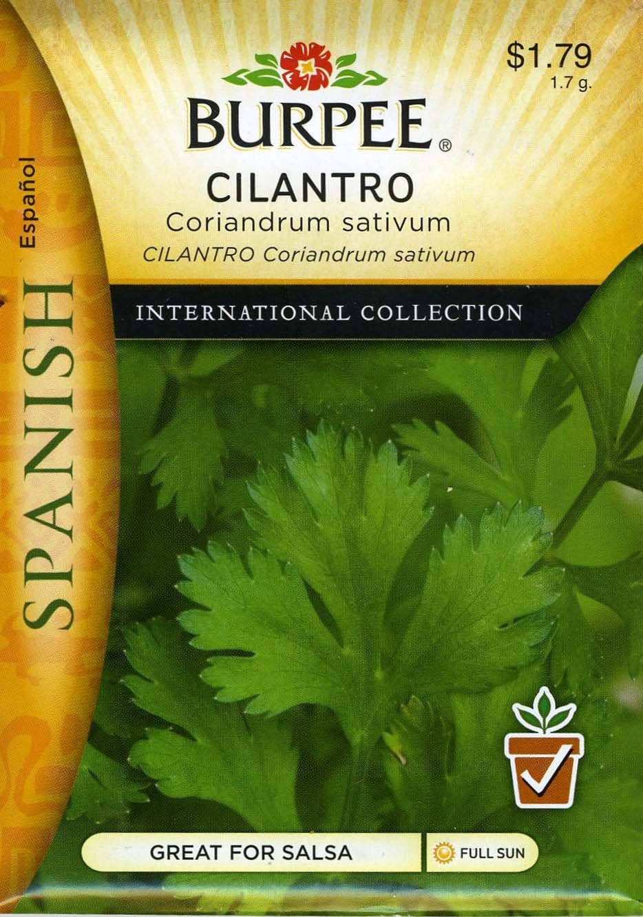 Amazon.com : Burpee 69652 Spanish - Herb Coriander/Cilantro Seed Packet ...