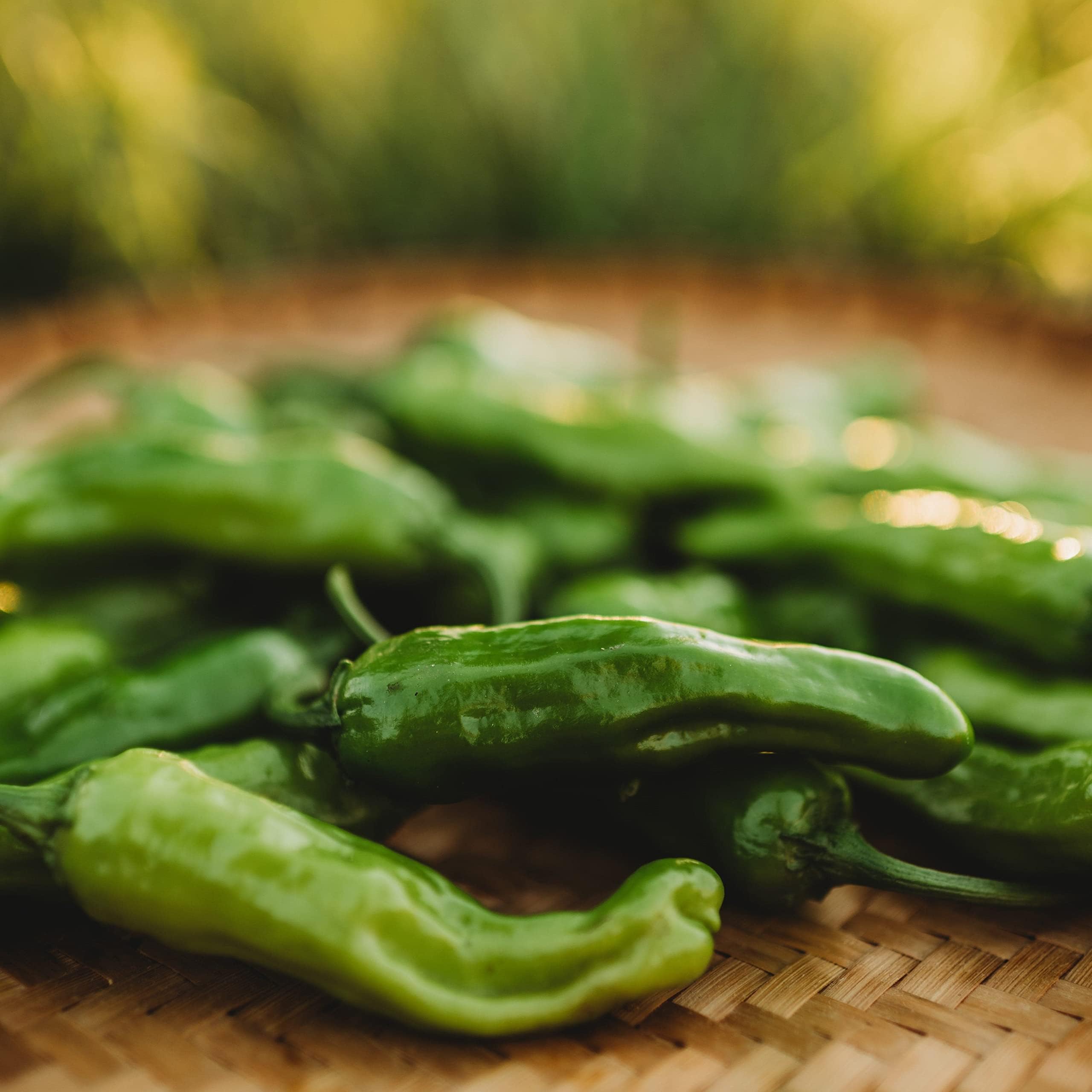 Amazon.com : Mountaineer White Half-Runner Bean - 50 Seeds - Rare ...