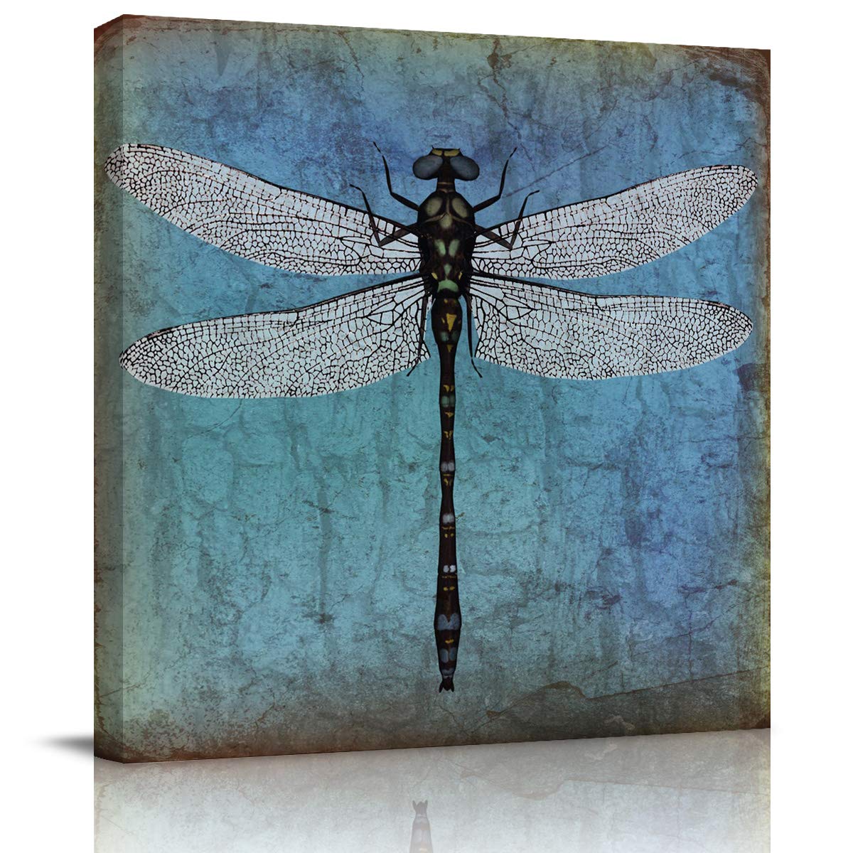 Dragonfly Insects Picture Print on Canvas with Wood Frame Hanging ...