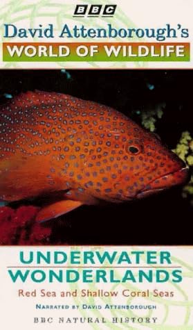 World of Wildlife 5 - Underwater Wonderlands [VHS] : Attenborough David ...