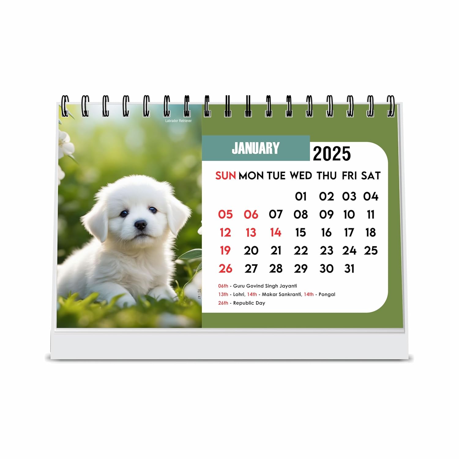 ESCAPER Cute Puppies Dog Calendar 2025 Desk, Cute Puppy Calendar 2025 ...