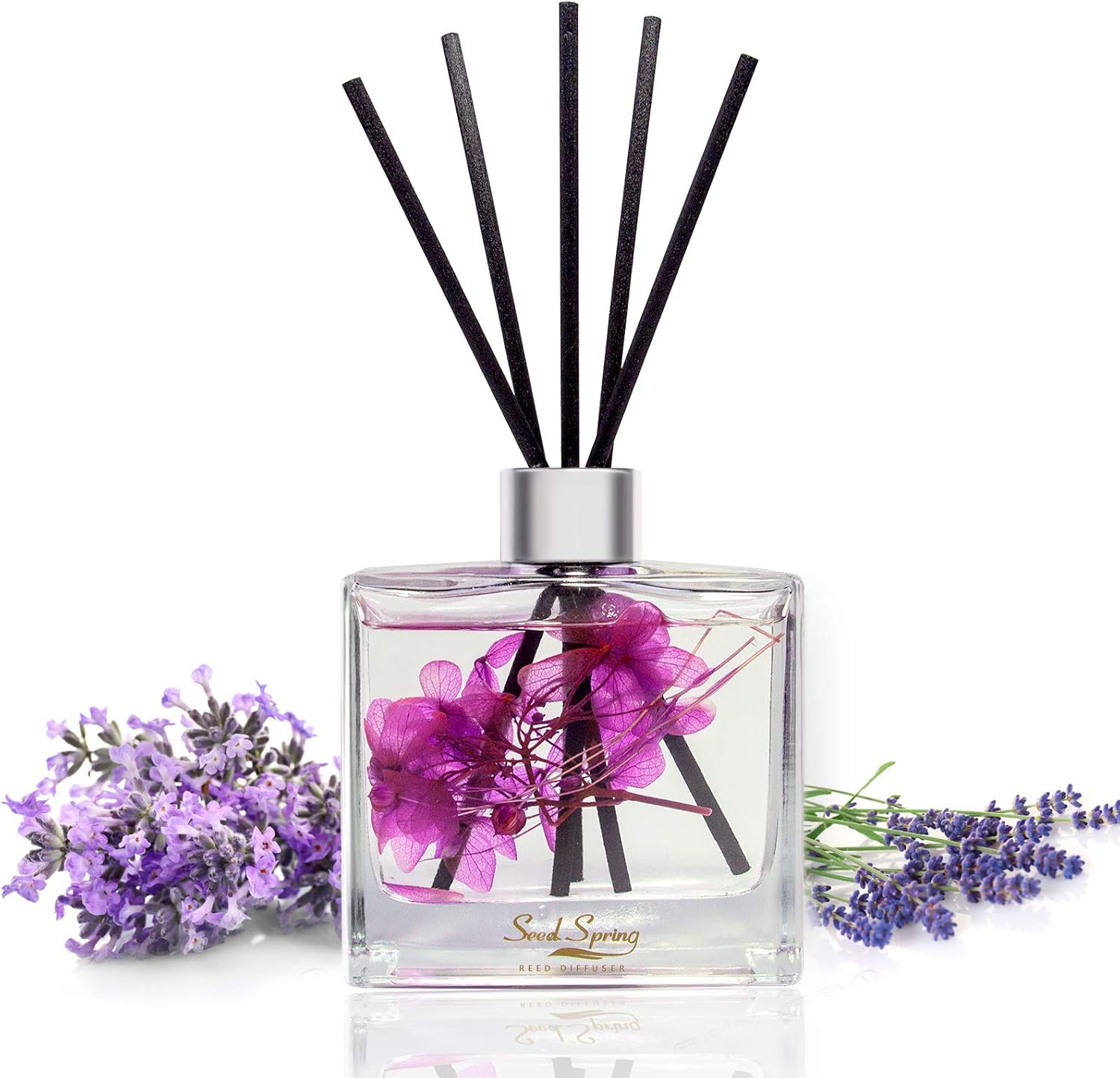 Seed Spring Dreamy Lavender Reed Diffuser with Dried Flowers, 200ml ...
