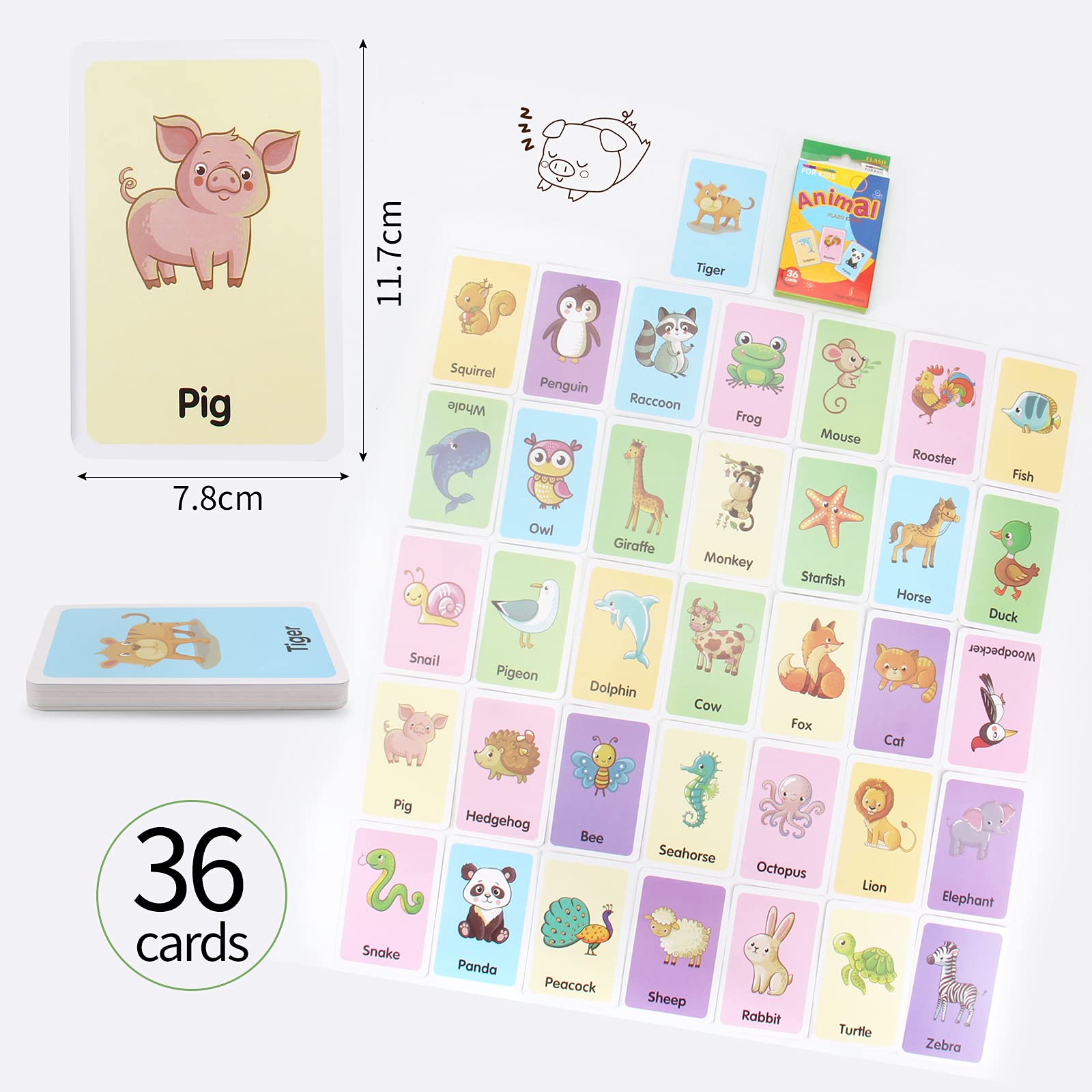 Buy leyun Multi Flash Cards Set-Brighter Child Flash Cards-Early ...