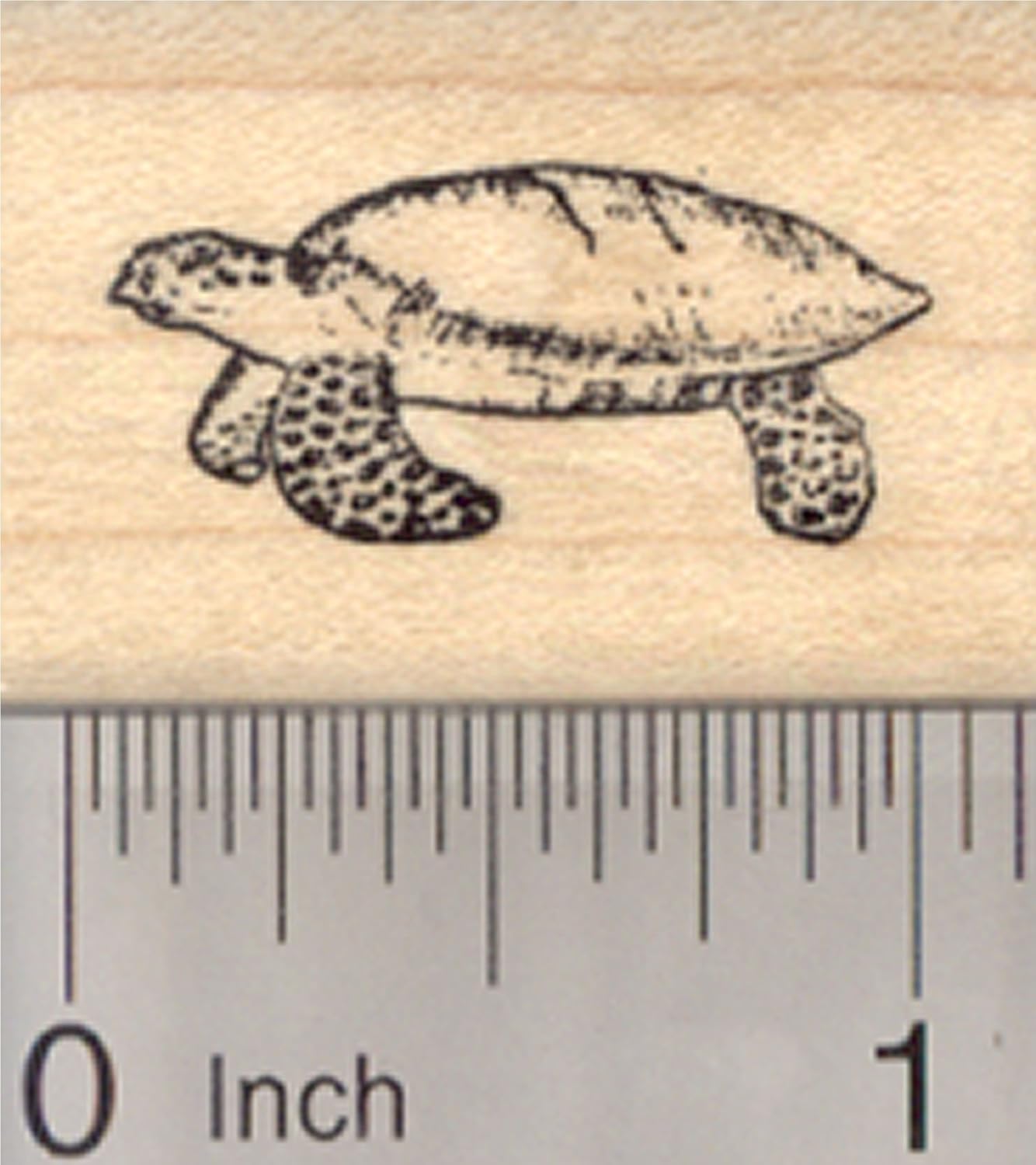 Amazon.com: Sea Turtle Rubber Stamp, Green, Hawksbill, Small : Toys & Games